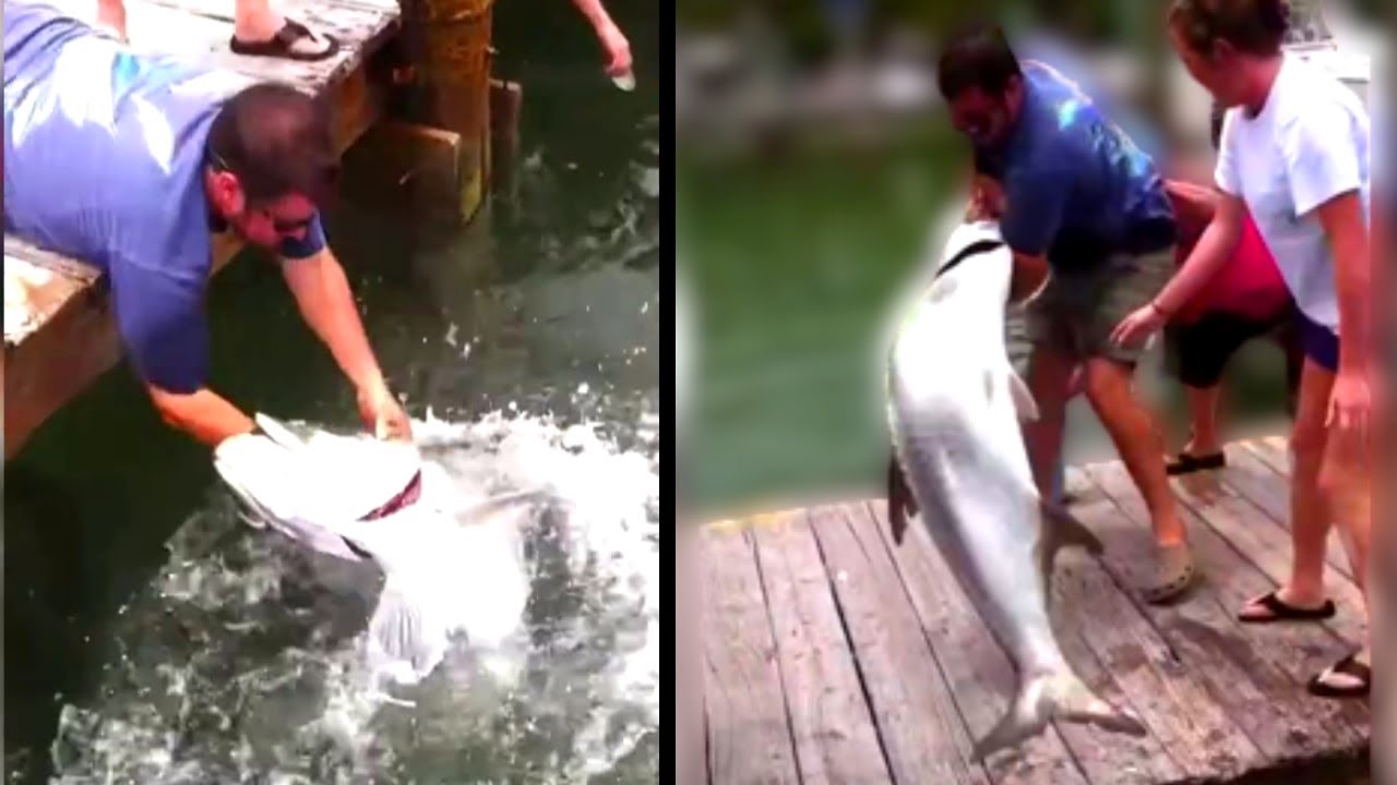 The man catching big fish by hand - YouTube