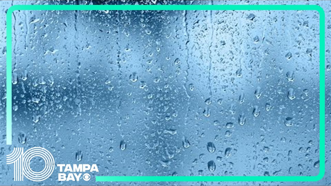 LIVE RADAR | Heavy rain possible for immediate Tampa Bay area - YouTube