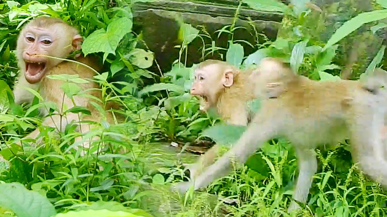 Popoy makes Lauy crying in wood after she means to big abandoned guys ...