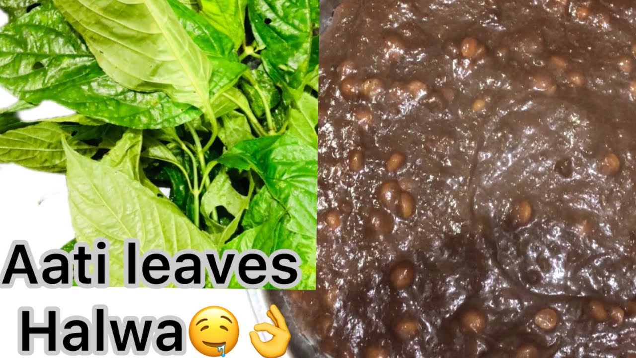 Delicious Halbai made with Aati leaves 🍃/@aishanoushi #halwa #halbai # ...