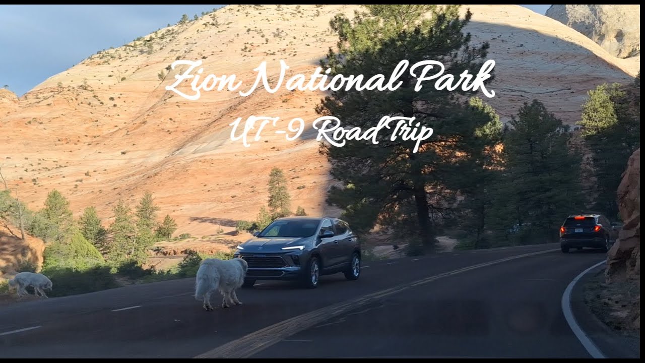 Zion National Park and UT 9 Road Trip - East Section - YouTube