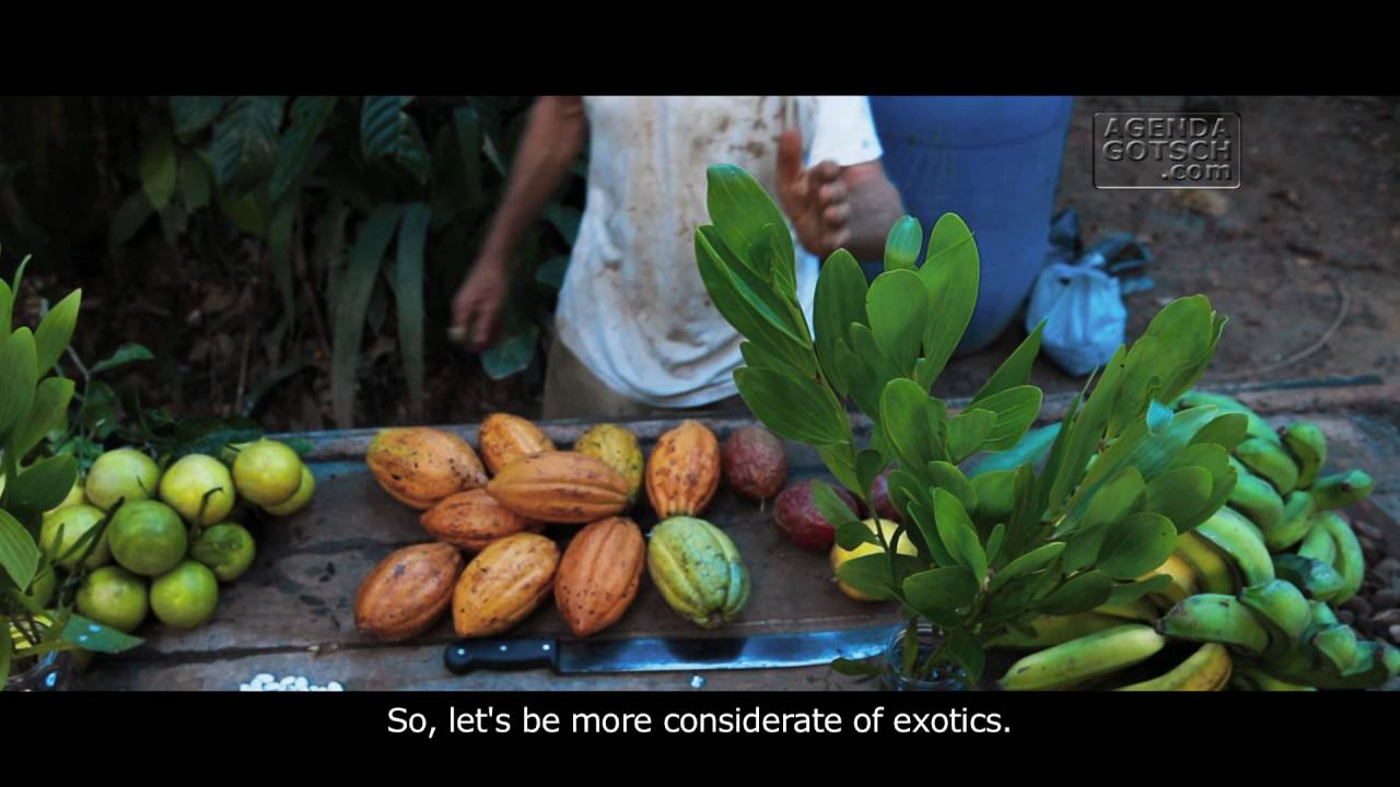 Exoticas - YouTube