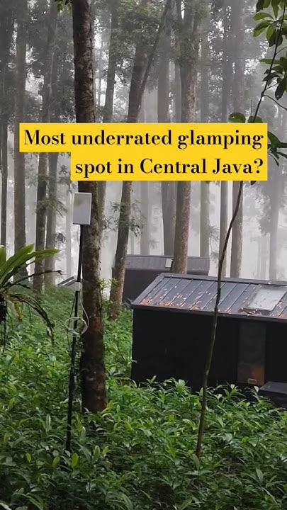 Hidden gem in Central Java - Bobocabin Baturraden #javacity # ...