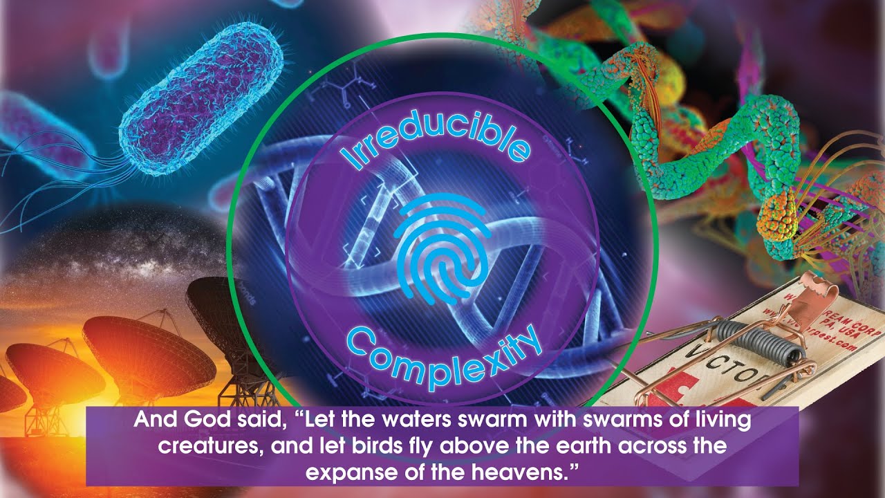 Irreducible Complexity - 4 - YouTube