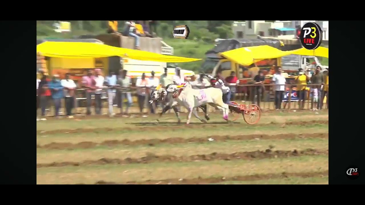 # sarja nimbalkar sir bailgada sharyat - YouTube