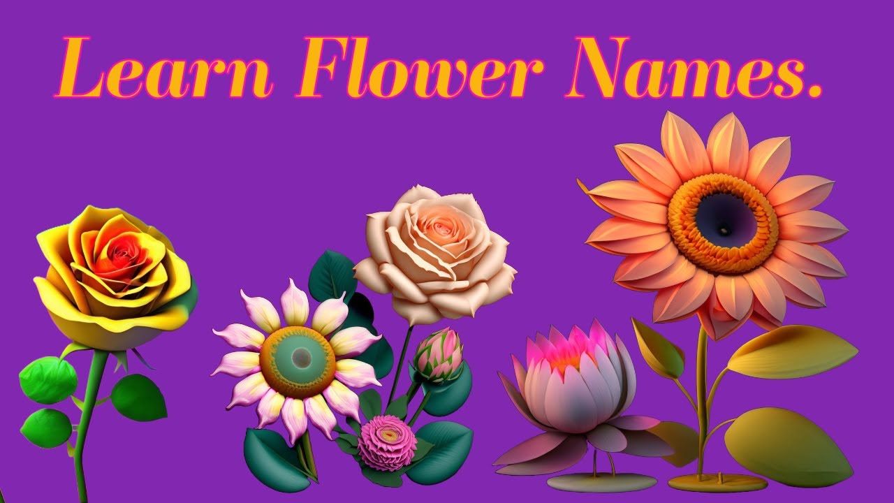 "Flower Names for Kids: Learn, Identify, and Explore Blooms with NEO ...