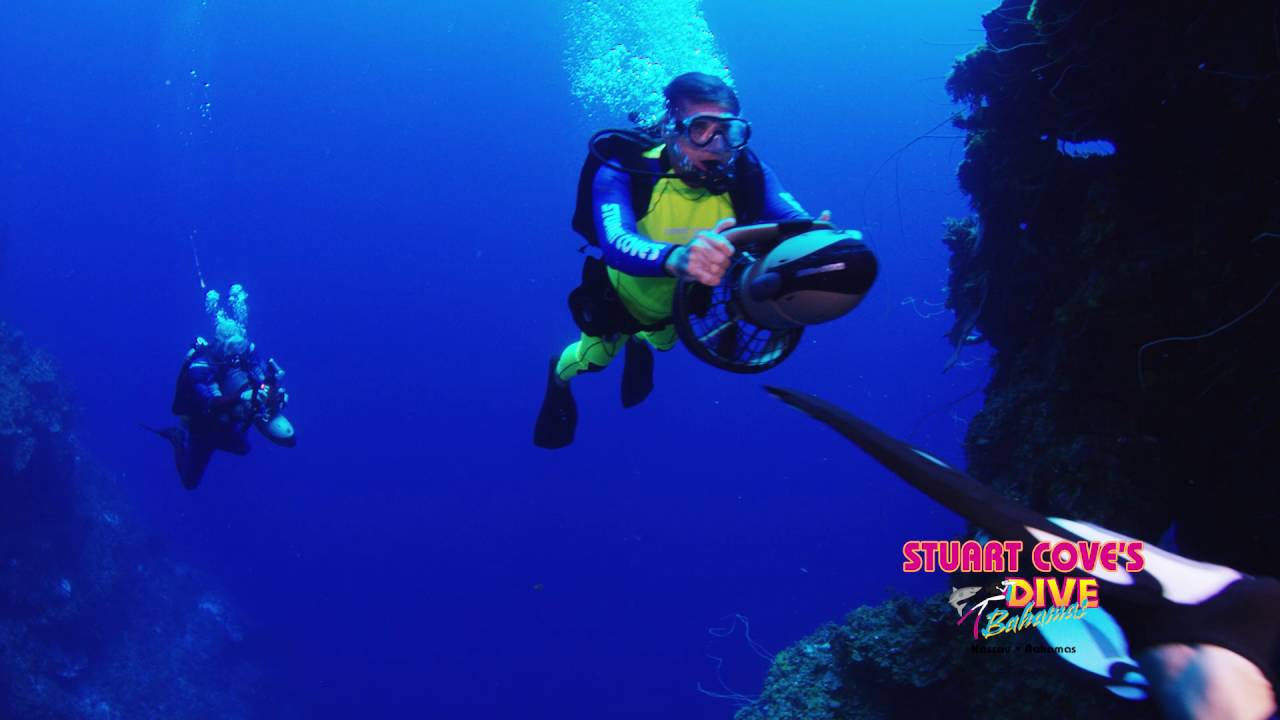 Wall Flying With Stuart Cove's Dive Bahamas! - YouTube