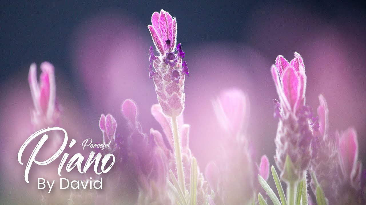 Peaceful Piano Background Music - By David Verdouw - YouTube