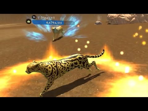 How to make Dina1 YT mad af // The Cheetah Online Simulator - YouTube