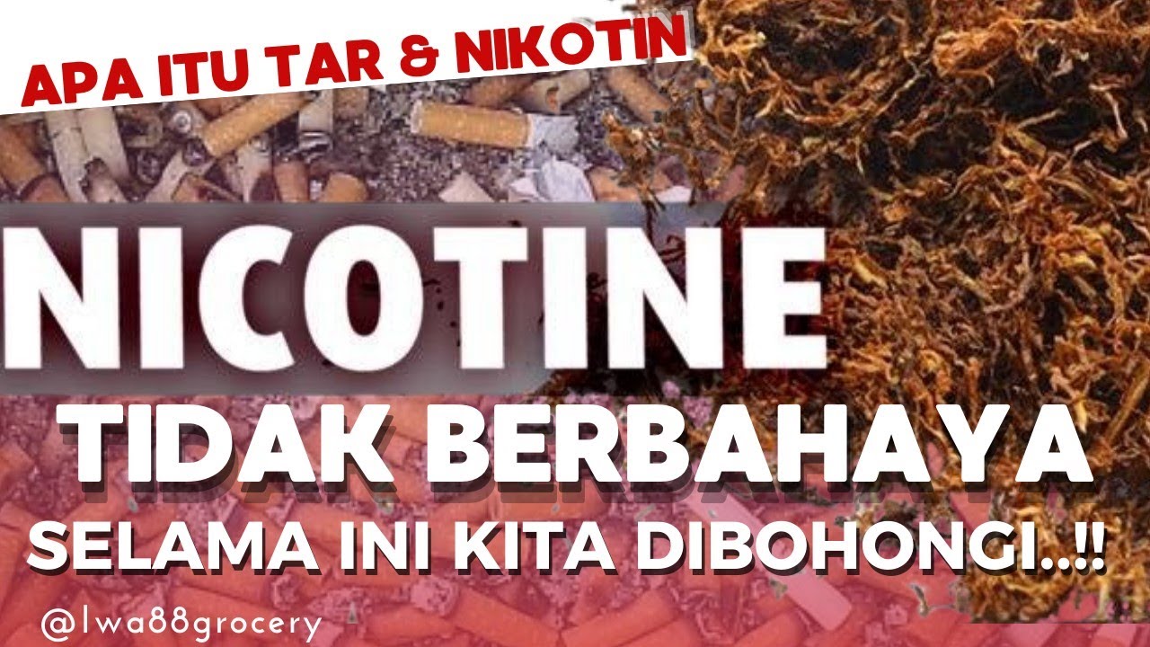 pengetahuan produk : Apakah nikotin pada sayuran berbahaya seperti ...