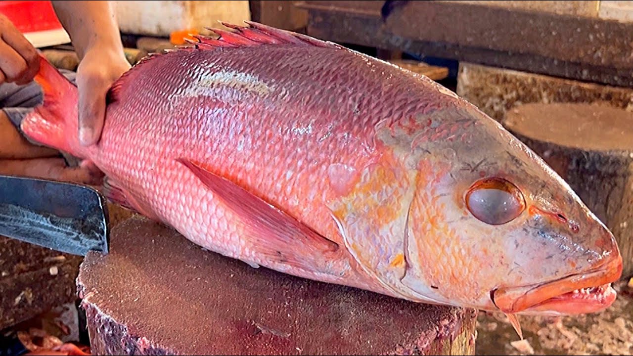 Fastest Red Snapper Fish Cutting Skills | Fresh Fish Cutting In Fish ...