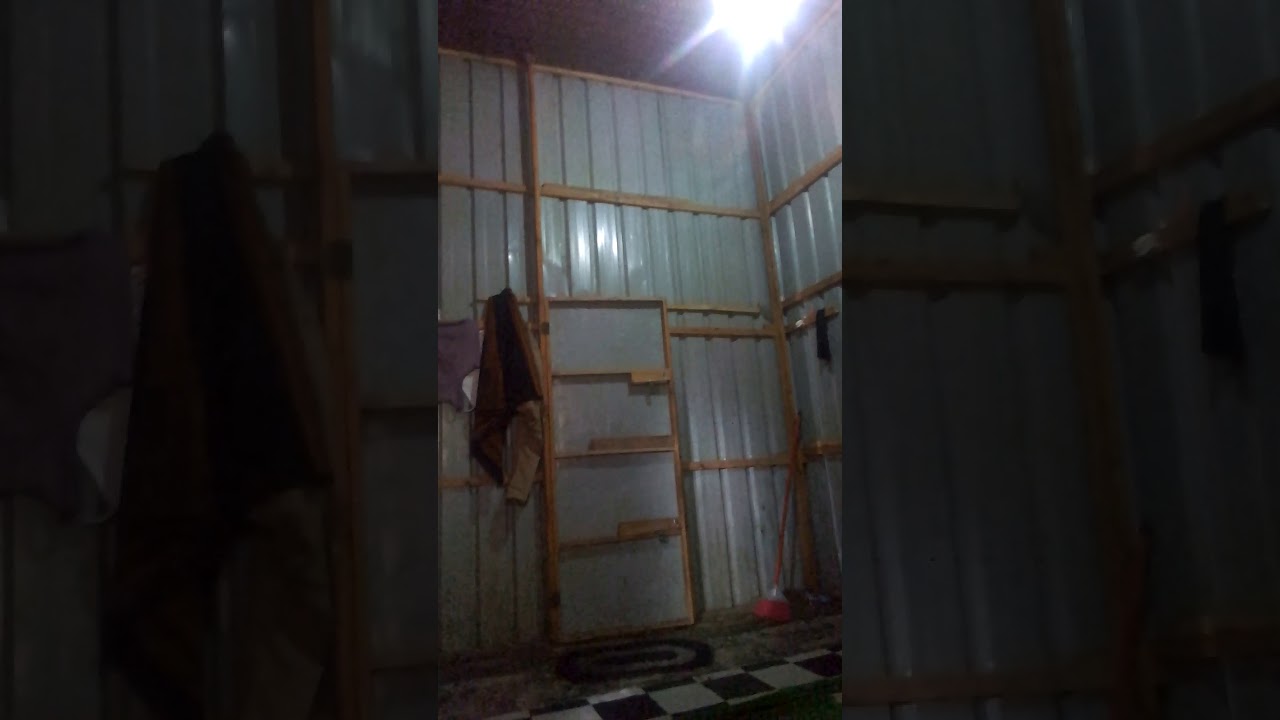Wasmo - YouTube