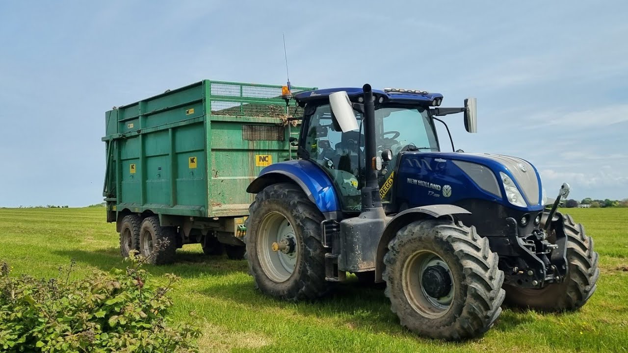 Grazing cows and hauling 1st cut silage in - YouTube