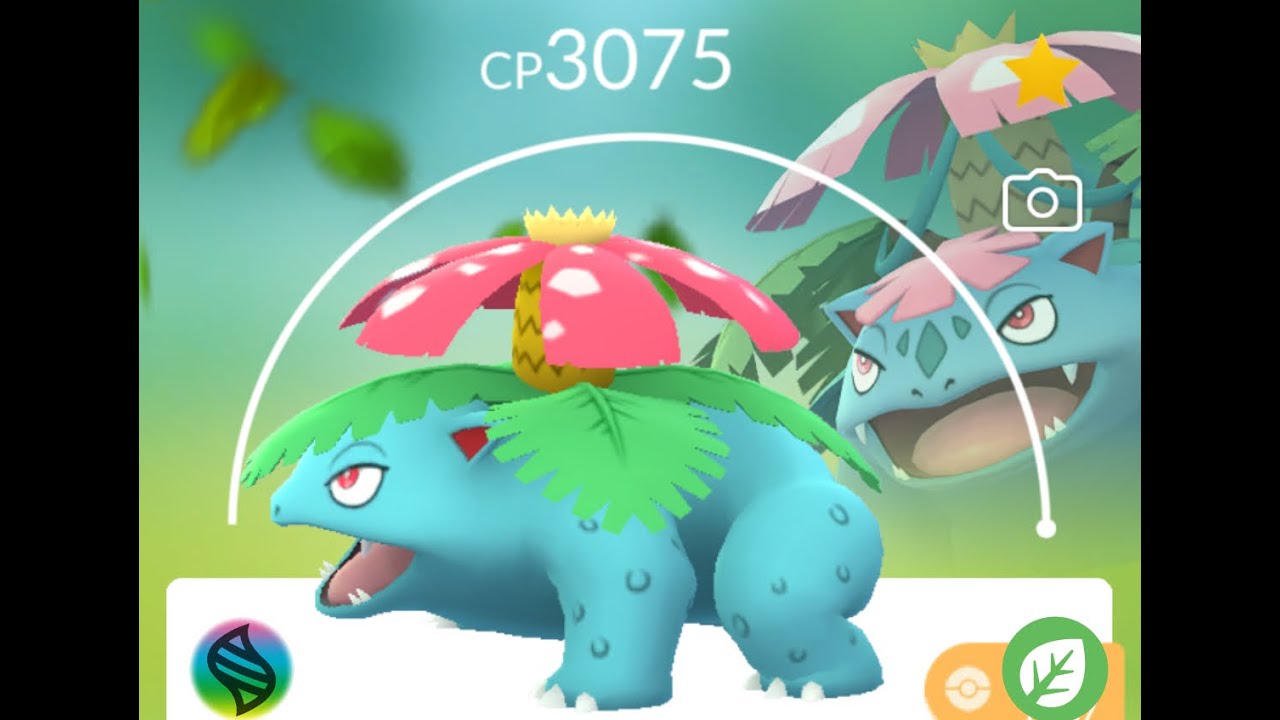 Mega Evolutions Grass Type - Pokémon Go - YouTube
