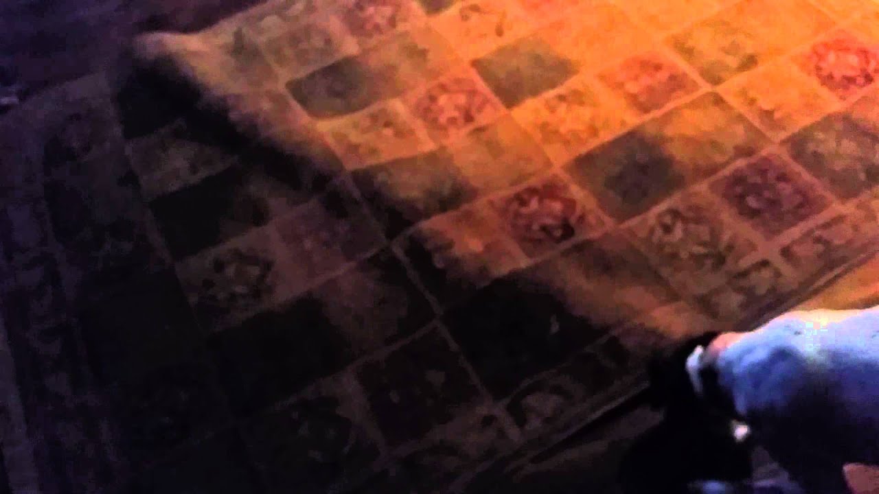 Diggin - YouTube