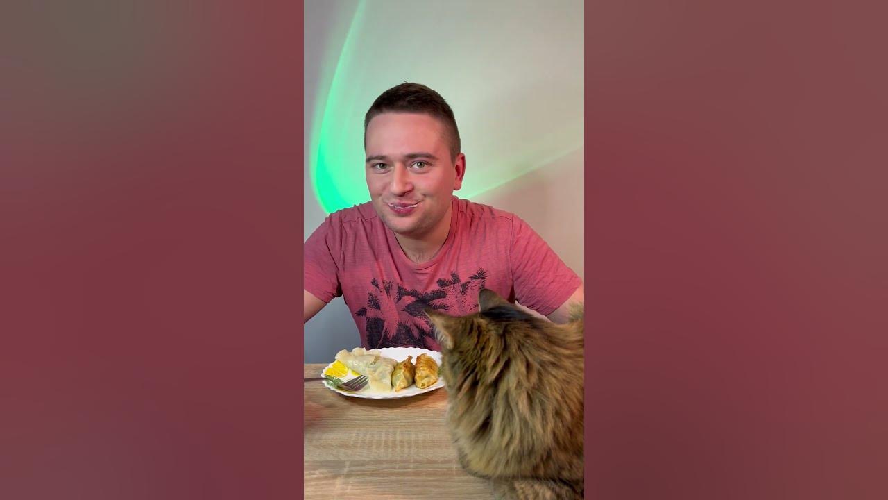 ЧТО ЭТО ЗА ДАМПЛИНГИ? #shorts - YouTube