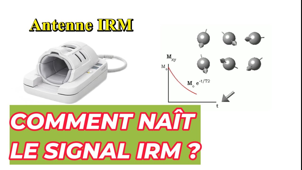 IRM : Excitation RF et Résonance Magnétique | Origine du Signal IRM ...
