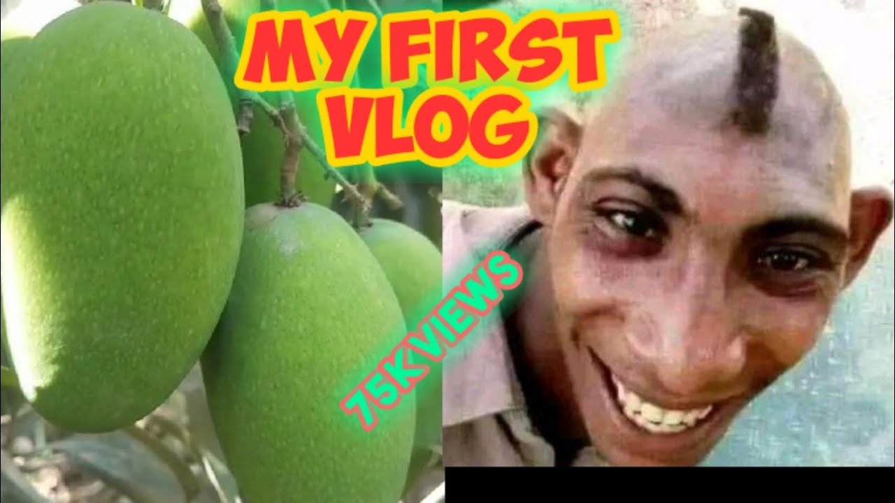 My New Village Vlogs On Bick | خوبصورت آم کے باغات اور گاٶں کی سیر ...