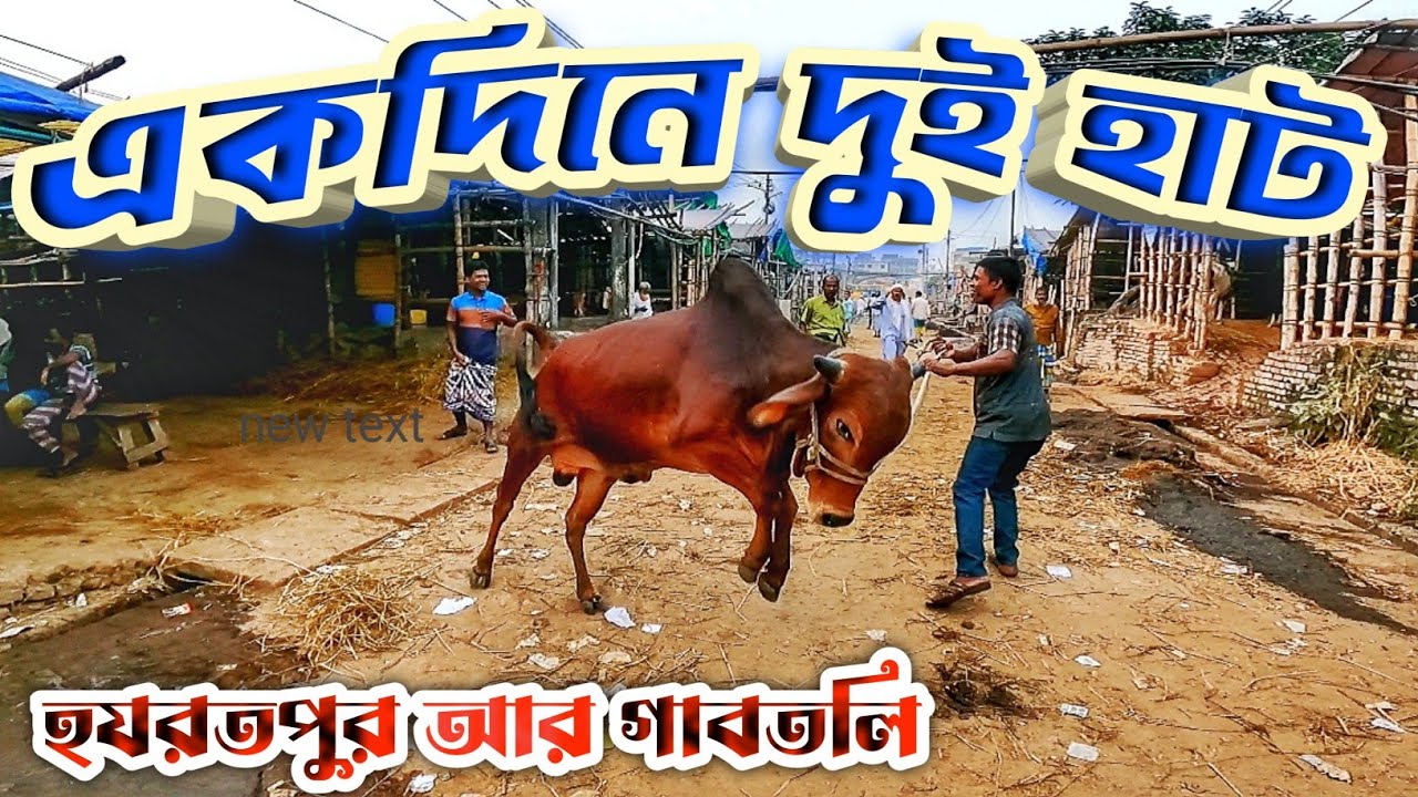 Same day at Hazratpur and Gabtali markets || Nasir Byapari's farm ...