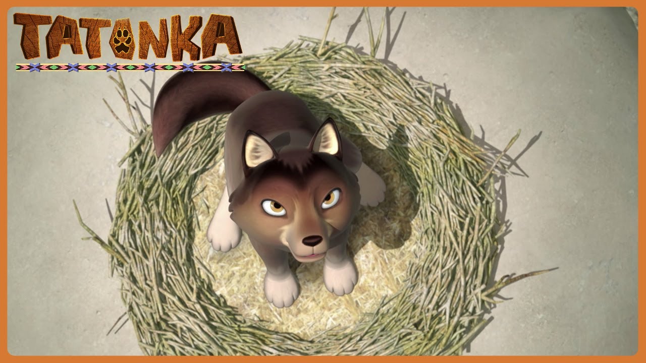 Chasing the Rainbow… Into a Coyote Trap?! 🌈🐺⚠️ | Tatonka - YouTube