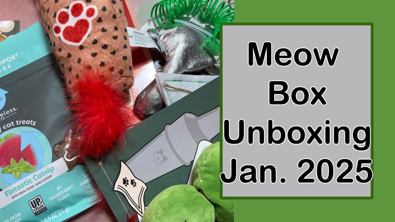 Meow Box Unboxing | January 2025 - YouTube