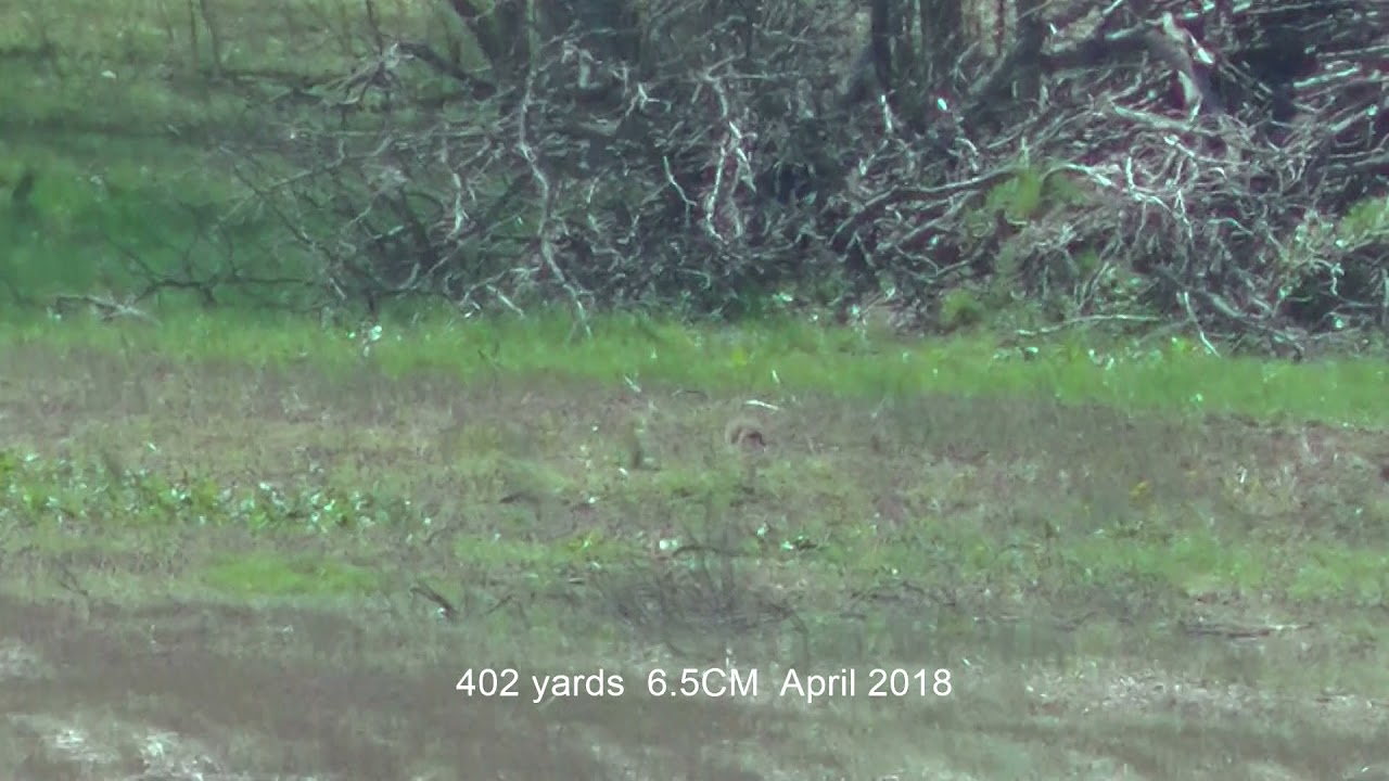 North Central Ohio Varmint Express Groundhog Hunting, Episode 8 - YouTube