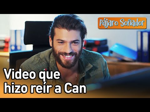 Video que hizo reír a Can | Pájaro soñador | (Audio Español) Erkenci Kus