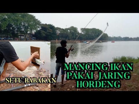 Mancing ikan, pakai jaring hordeng, Setu Babakan - YouTube