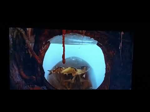 A Loucura do Vampiro 1971. Annie Lennox - No More \