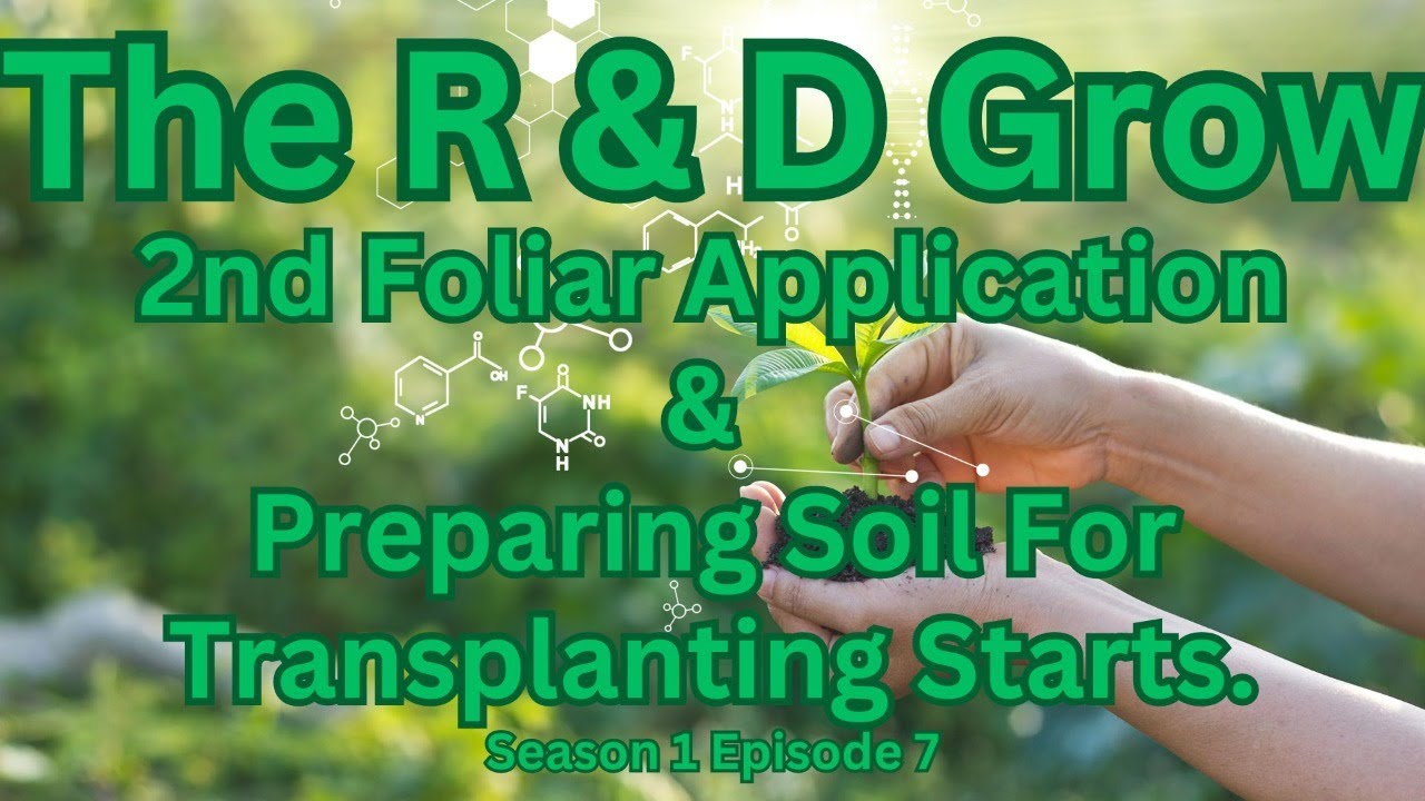 The R&D Grow S1 Ep 7 2nd Foliar Application & Preparing Soil For ...