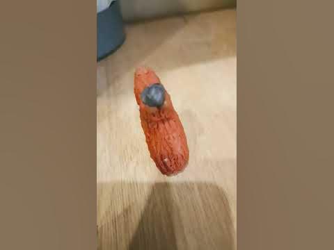 капибара из пластилина - YouTube