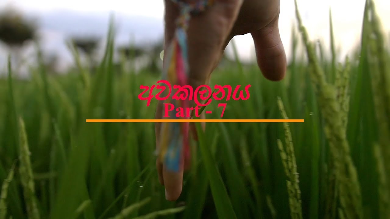 Awakalanaya(අවකලනය) Simple problem - Deferential Equation in Sinhala ...