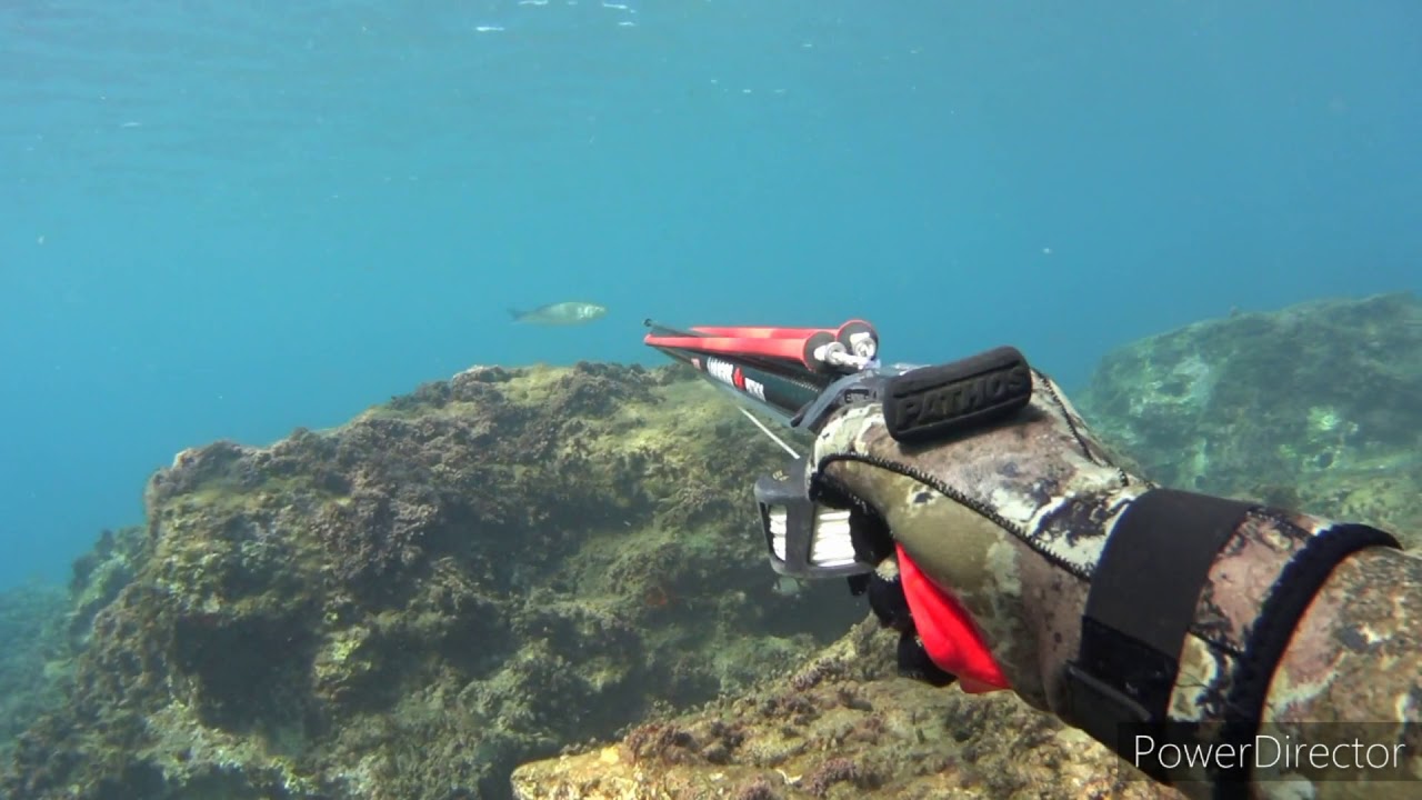 spearfishing-ψαροντουφεκο 26-2-2020 - YouTube