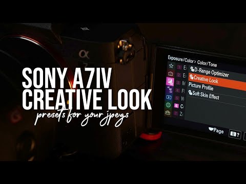 SONY A7IV CREATIVE LOOK | Comparing Different Creative Look - YouTube