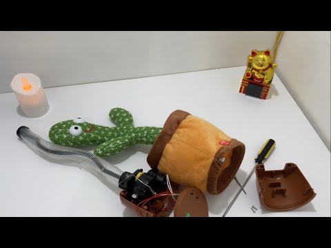 Membongkar Mainan Boneka Kaktus Joget dan Bicara