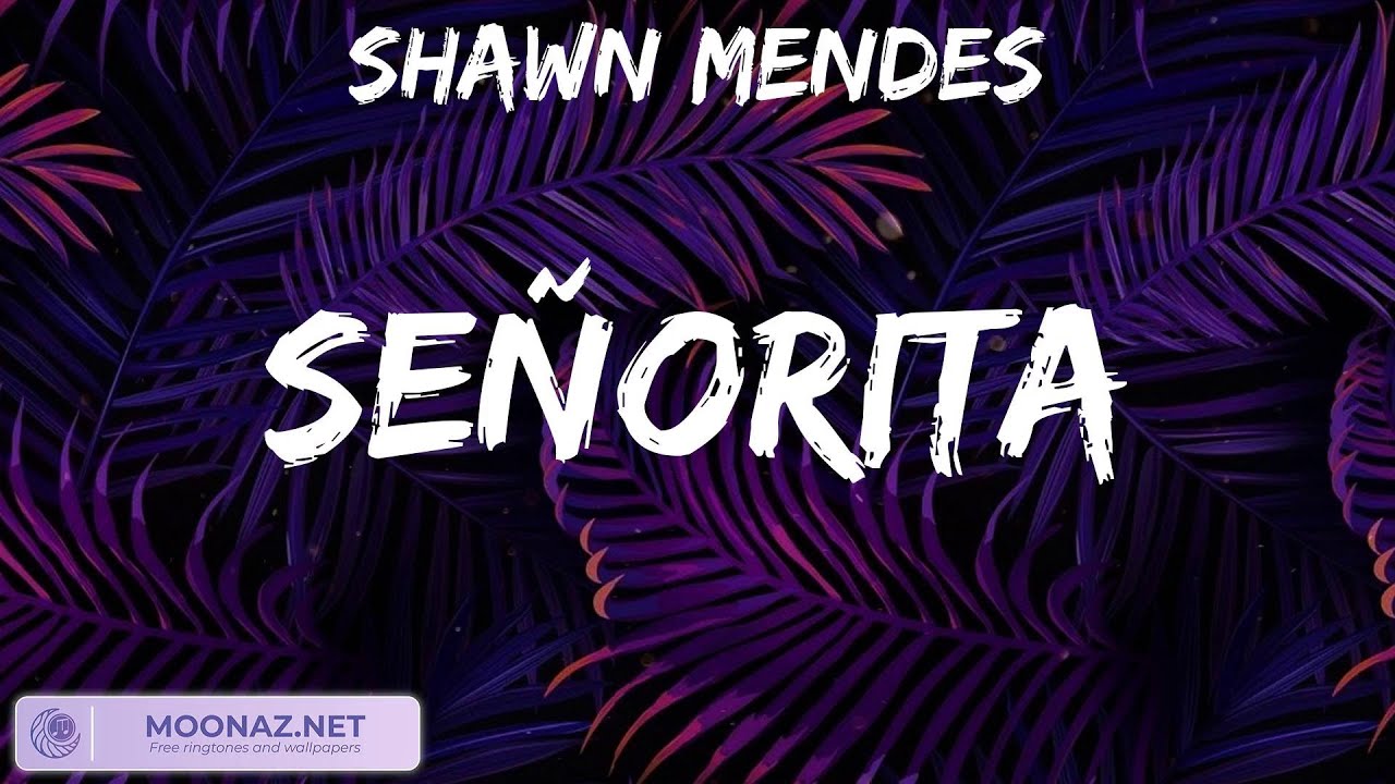 Playlist: Shawn Mendes - Señorita || Night Changes, Enchanted, bad guy ...