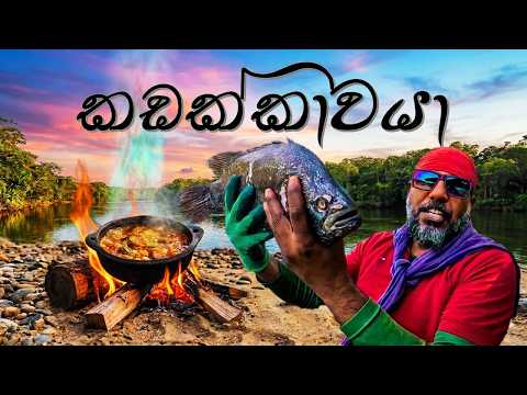 කඩක්කාවය | Ultimate Tripletail fish curry | පත්තියන් මාලුවෙක් | @wishwatiyubaya 🐠😲🥣