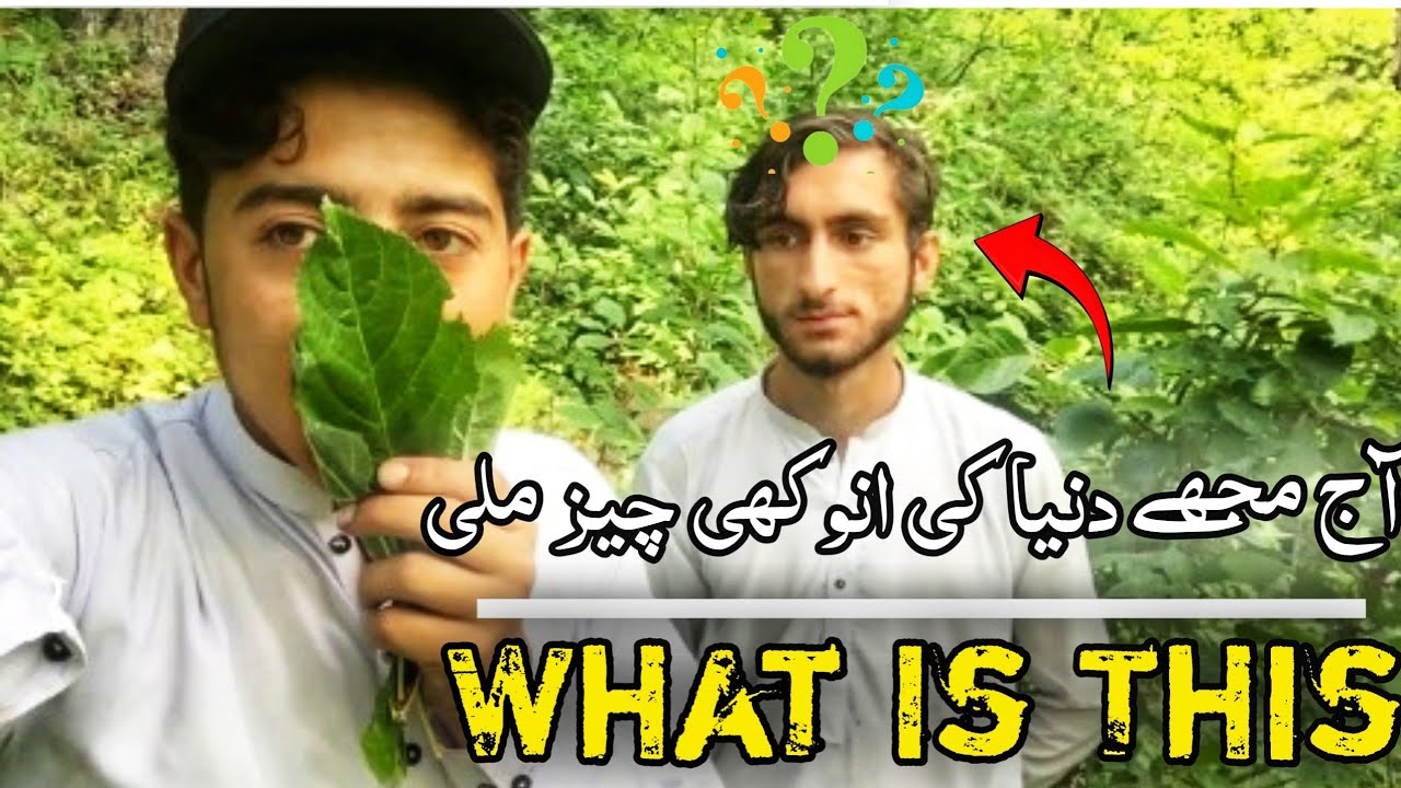 KAGHAN VILLAGE life || Northern Vlog || Mujy Ye Kya Mill Gya 😱 ...