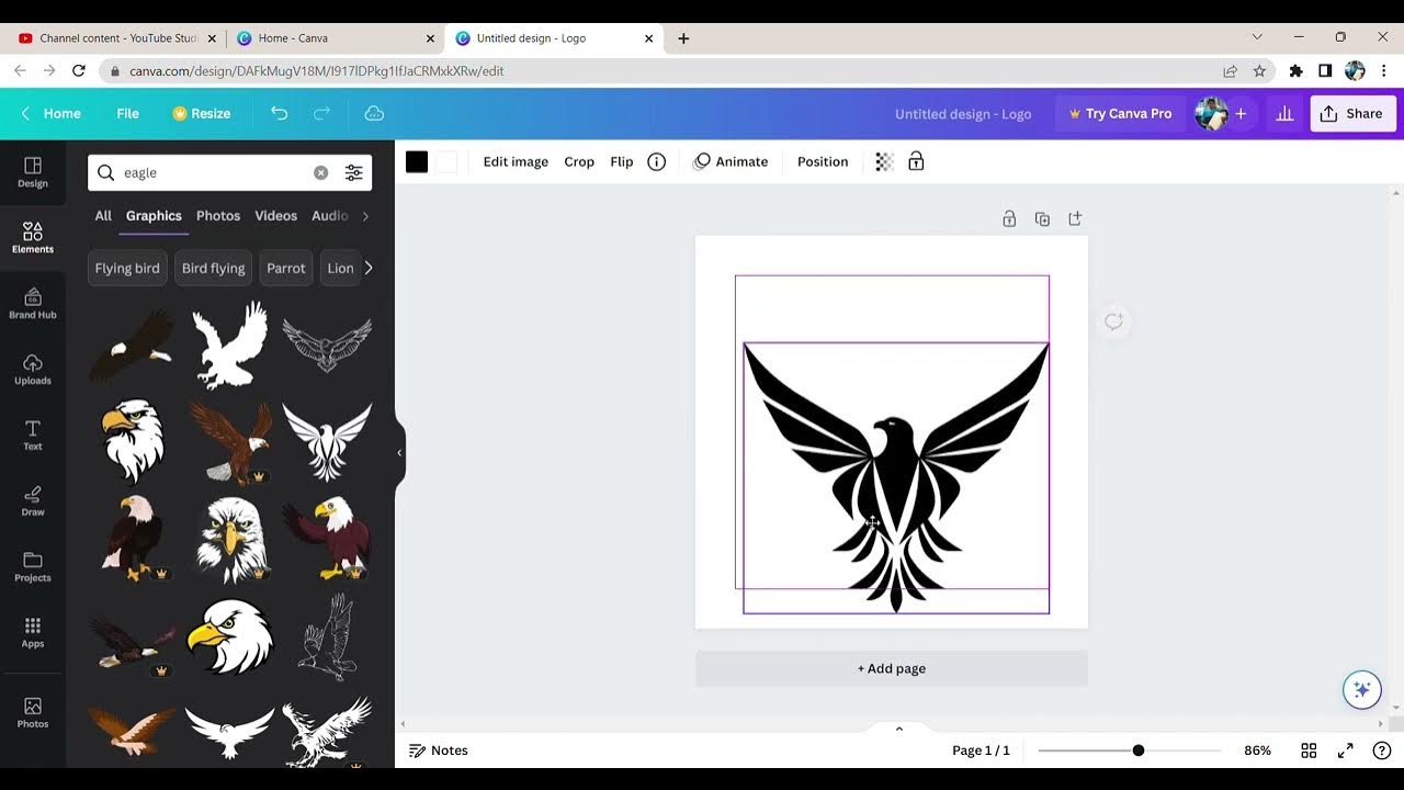Canva Project 30 Bird Flying Created By Trishanth Kumar Youtube