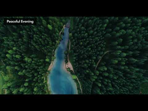 River and forest | #nature #river | @peacefulevening4813