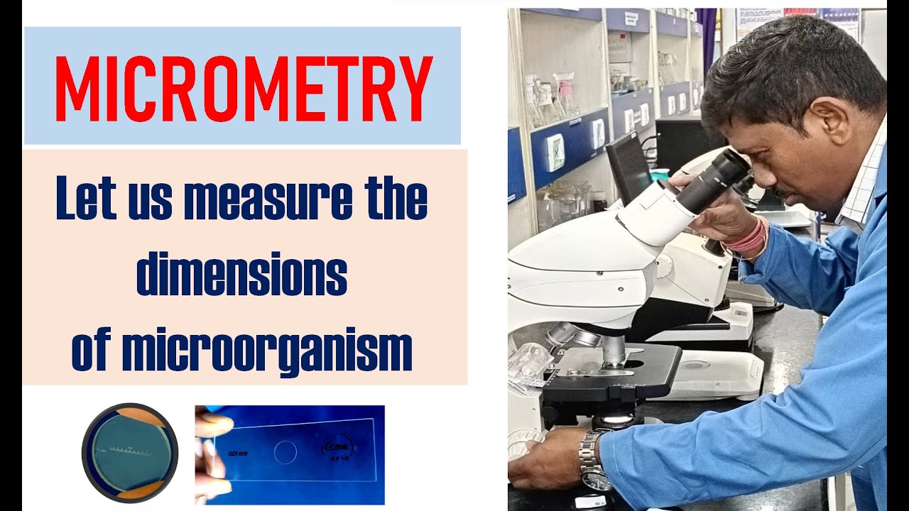 Micrometry | measurement of dimension of microorganism - YouTube
