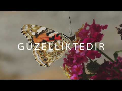 İncesu (Sosyal Medya Filmi)