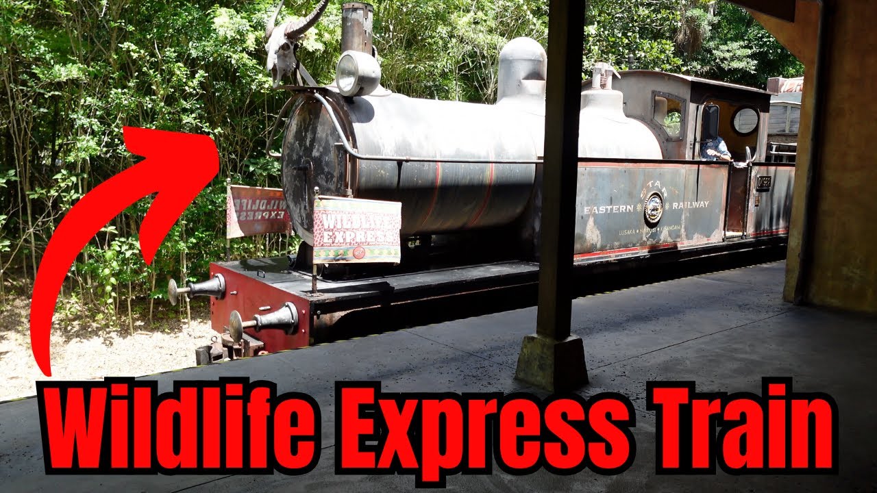Wildlife Express Train (Walt Disney World) - Animal Kingdom - 4K POV ...