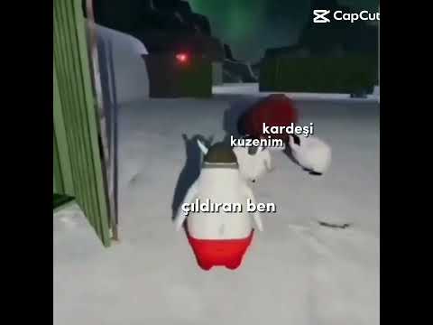 tam olarak böyle