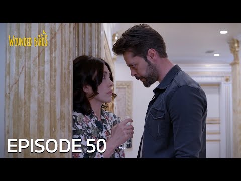 Yaralı Kuşlar | 50. Bölüm