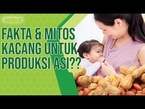 Kacang Bisa Tingkatkan Produksi ASI, Mitos atau Fakta?