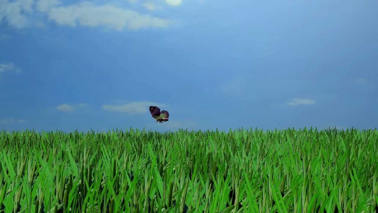 Grass animation test done in Blender 2.63 - YouTube