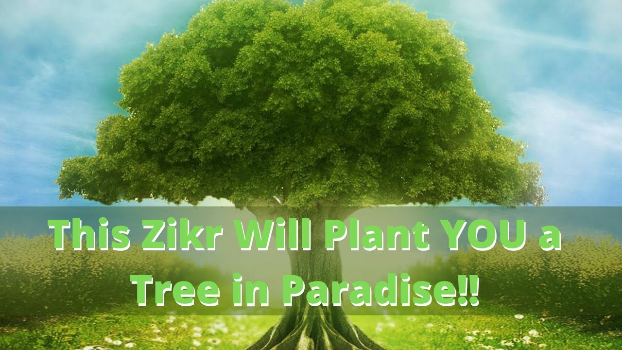 How big is a tree in paradise and how do I get a tree in paradise - YouTube