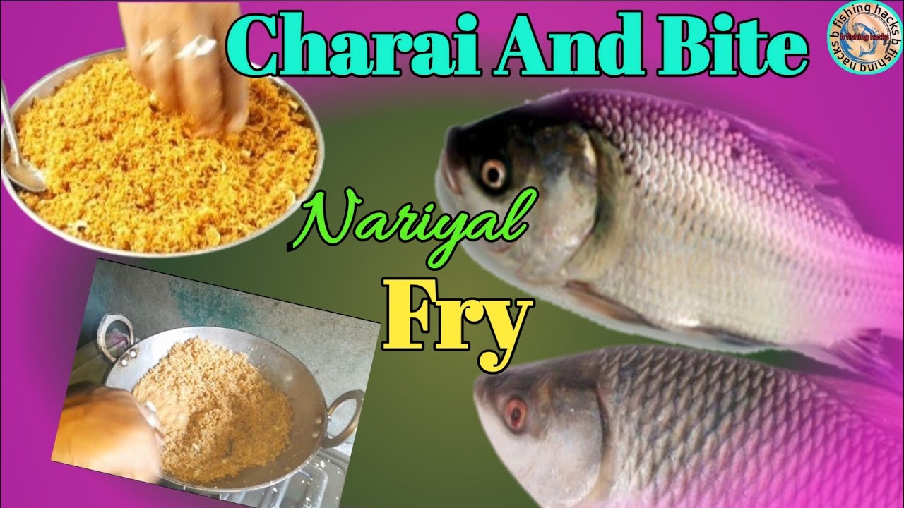 Charai And Bite ke Liye Nariyal Fry ️ Katla Rohu Mrigel Fish Attraction ...