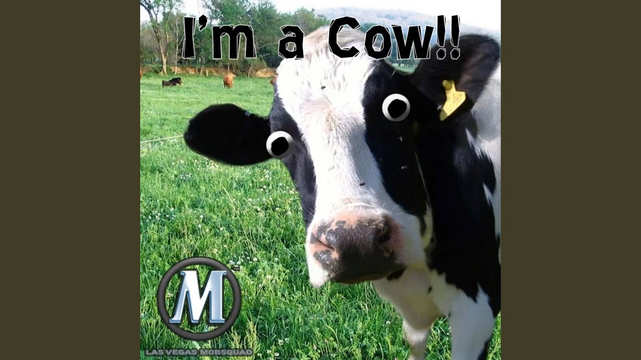 I'm a Cow - YouTube